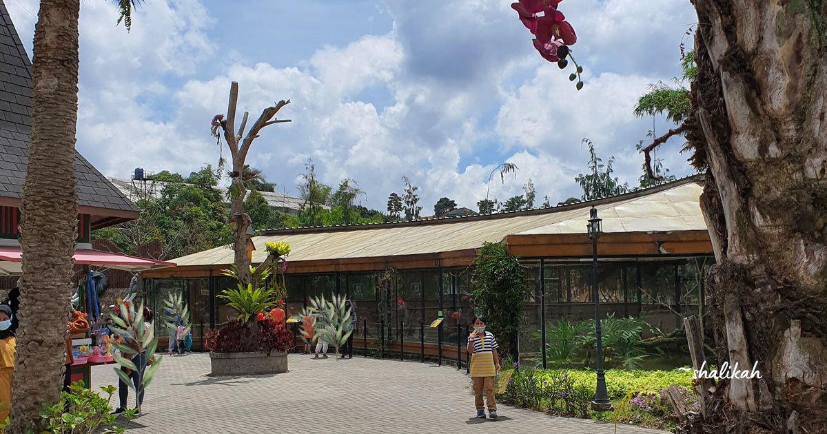 Asyiknya Mengeksplorasi Lembang Park & Zoo - www.shalstory.com