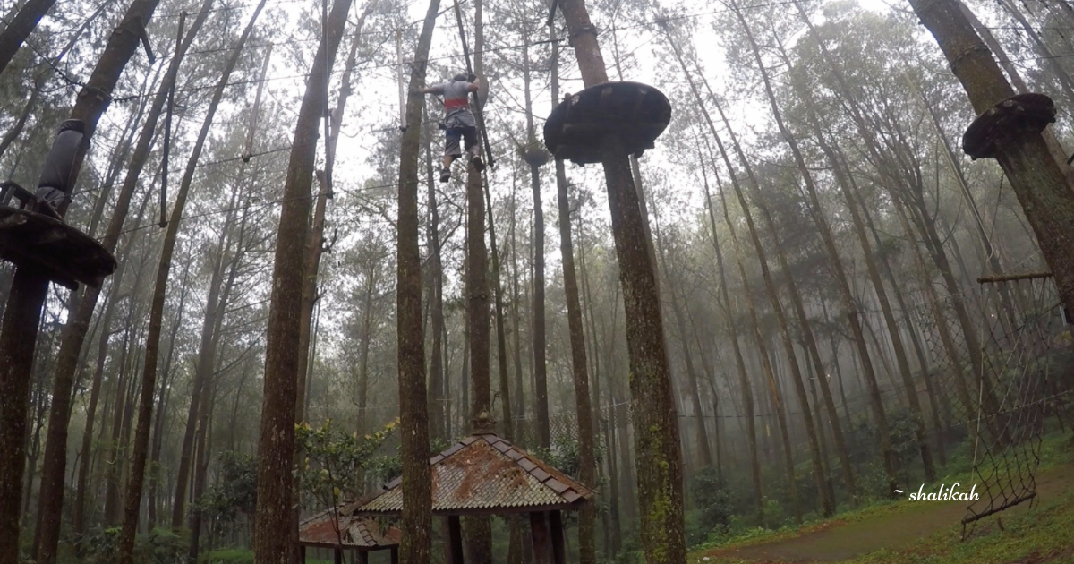 Berpetualang di Hutan Pinus Kopeng, Semarang - www.shalstory.com